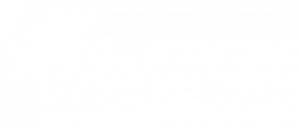 General Data Protection Regulation - MAXWELL RAND